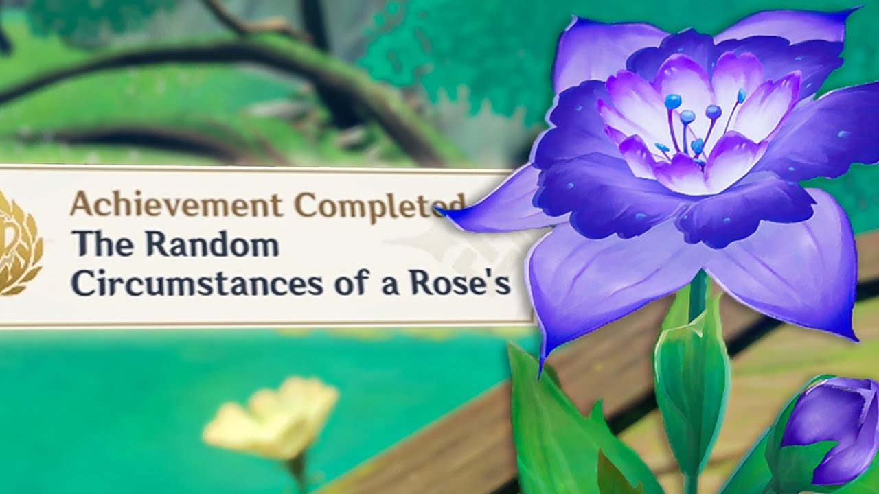 Sumeru Hidden Achievement : The Random Circumstances of a Rose's ...
